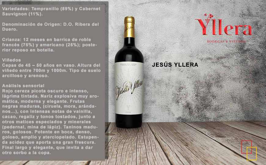 Bodegas Yllera, el arte del vino a través de sus visitas y experiencias ...