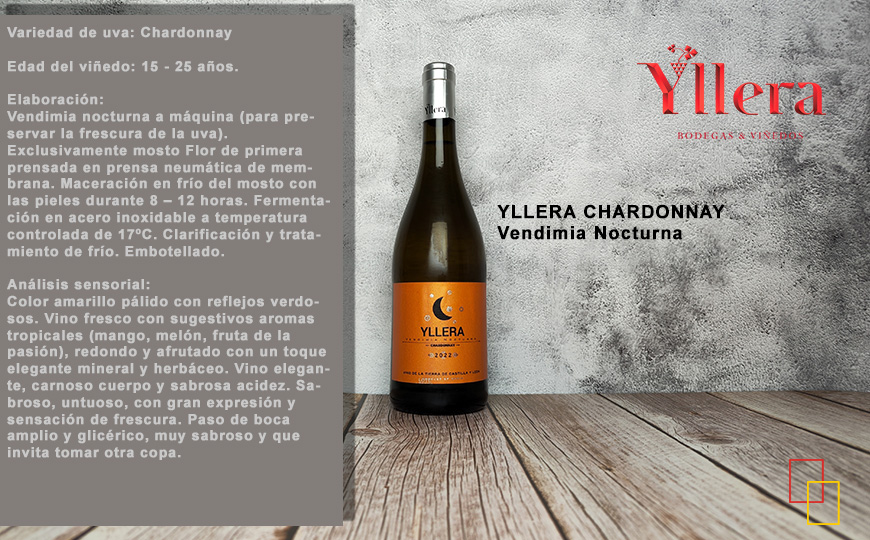 Bodegas Yllera, el arte del vino a través de sus visitas y experiencias ...