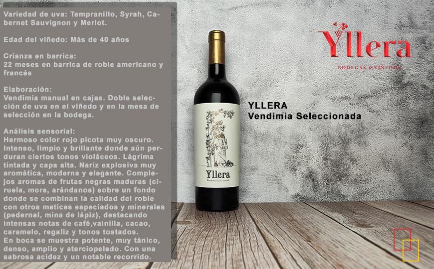 Bodegas Yllera, el arte del vino a través de sus visitas y experiencias ...
